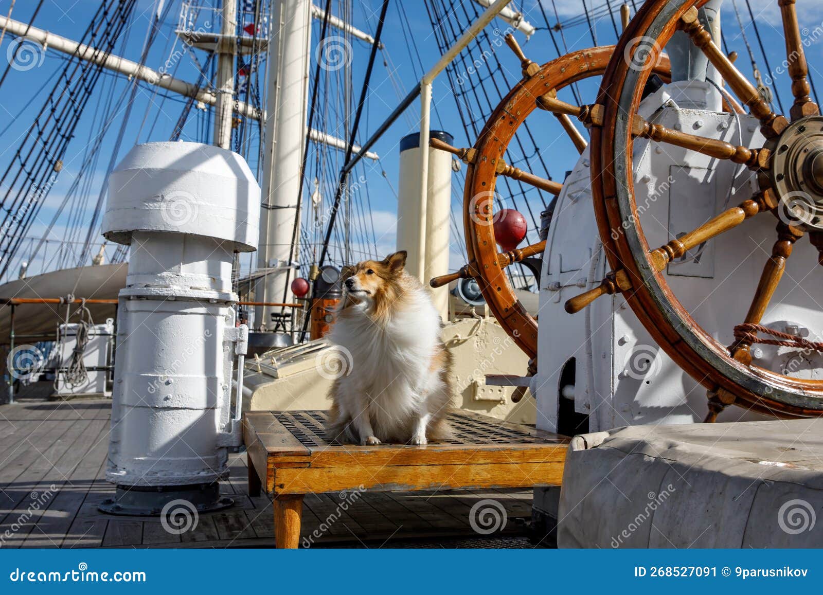 Dog As a Captain on a Sail Ship Wooden Deck. Stock Image - Image of ...
