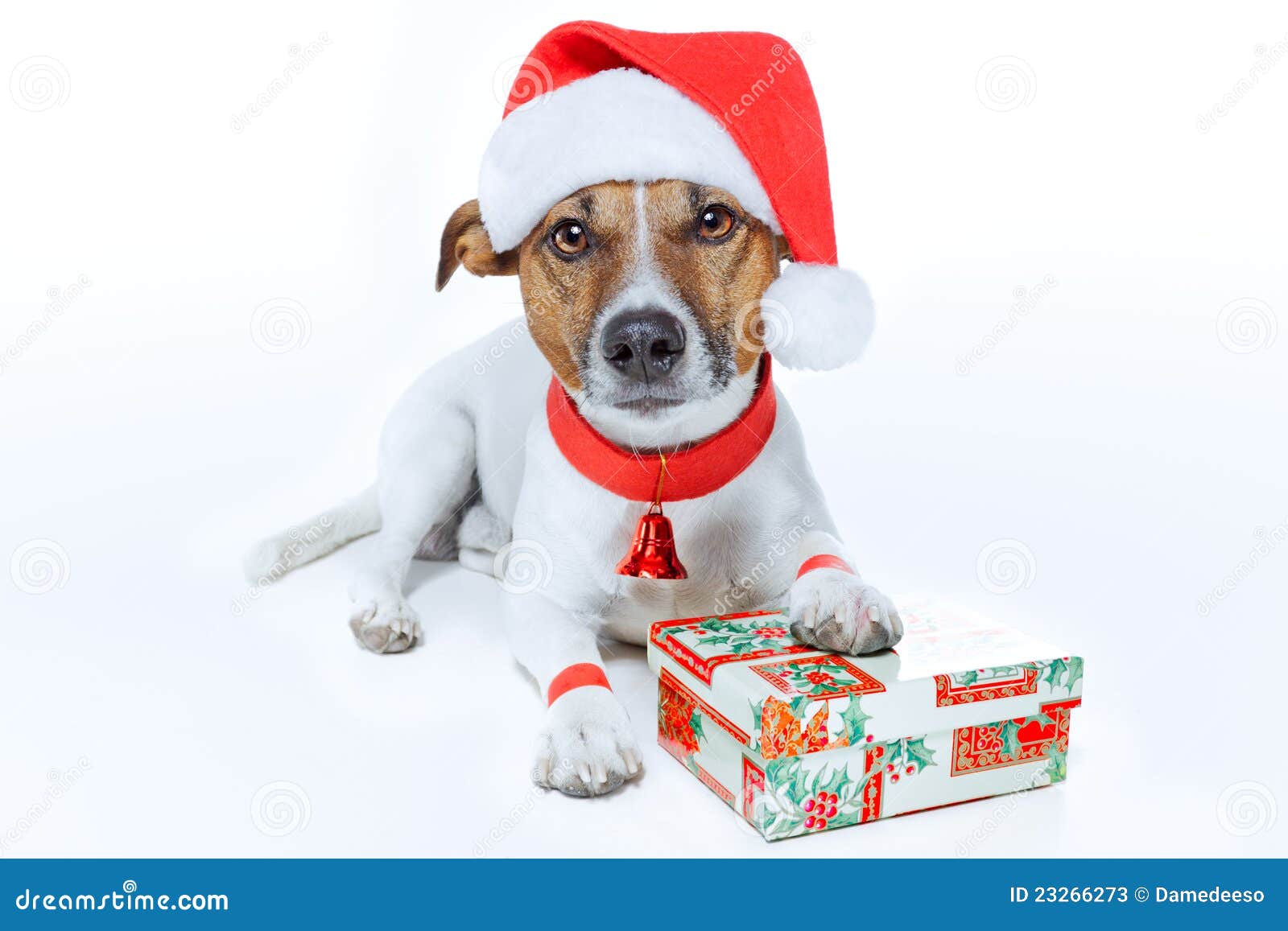 Dog as santa stock image. Image of december, coverings - 23266273
