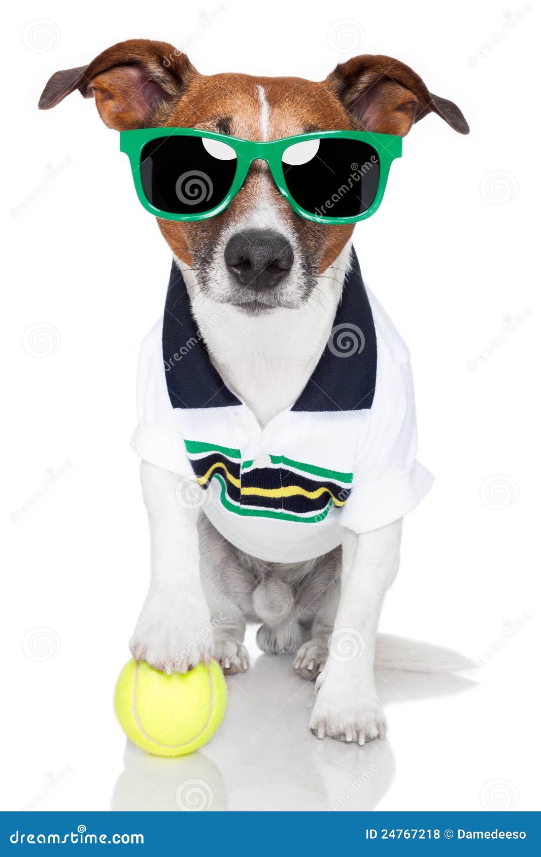Dog as tennis player stock photo. Image of beautiful - 24767218