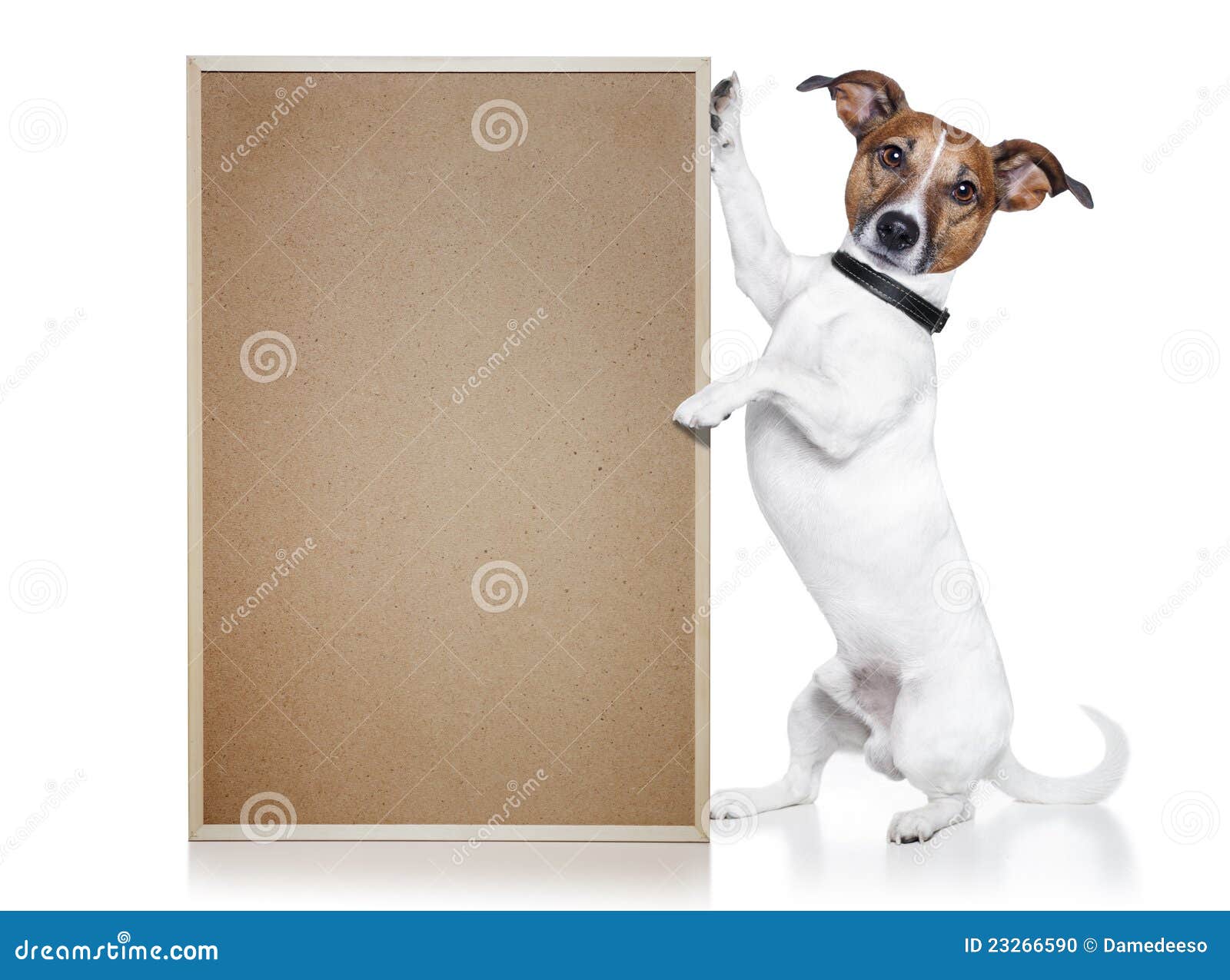 Dog banner stock photo. Image of posing, bulletin, isolated - 23266590