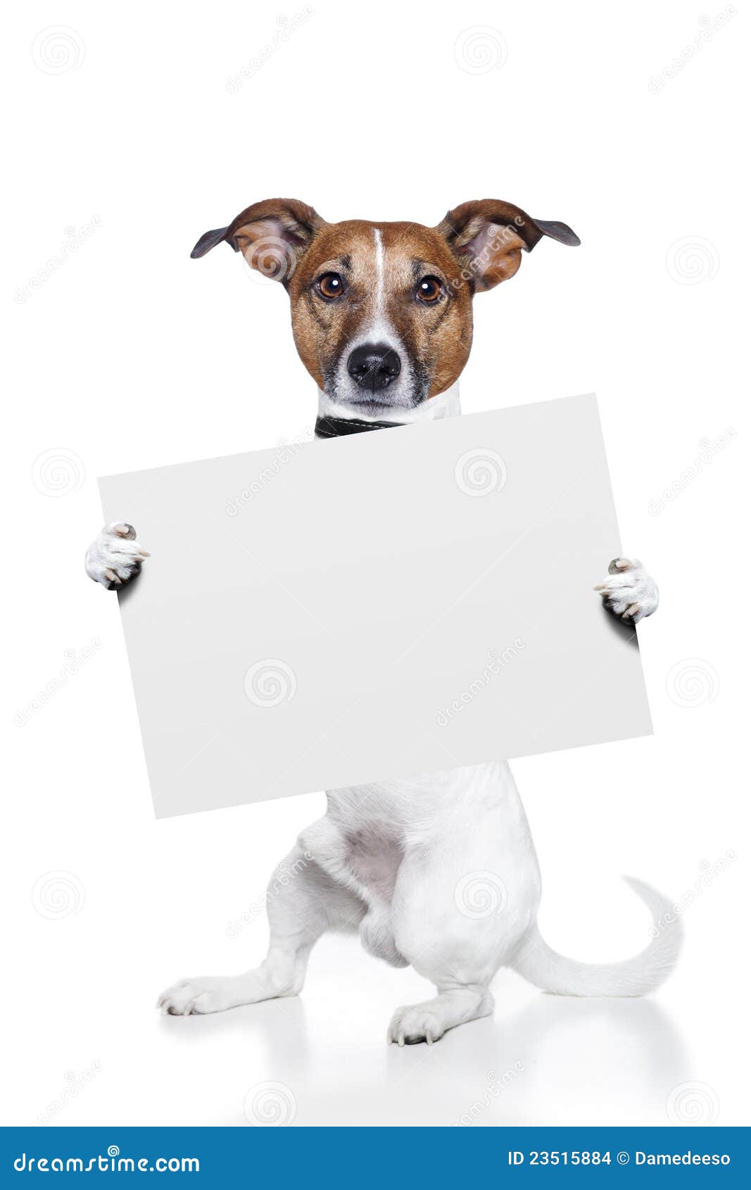 Dog Banner Stock Images - Image: 23515884