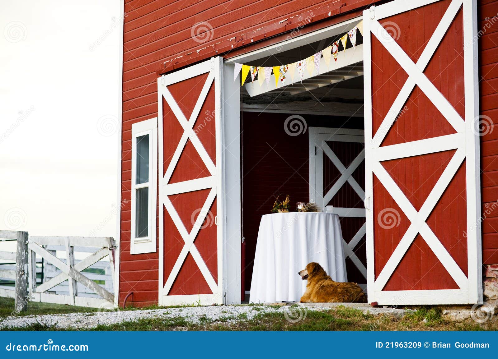 Dog and barn stock image. Image of celebration, rural - 21963209