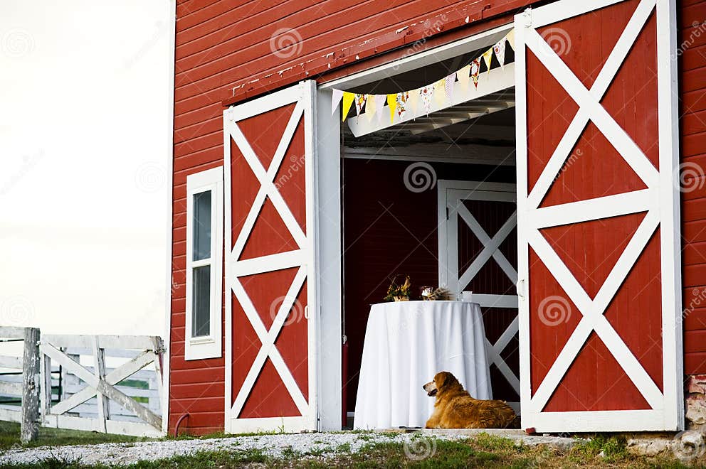 Dog and barn stock image. Image of celebration, rural - 21963209