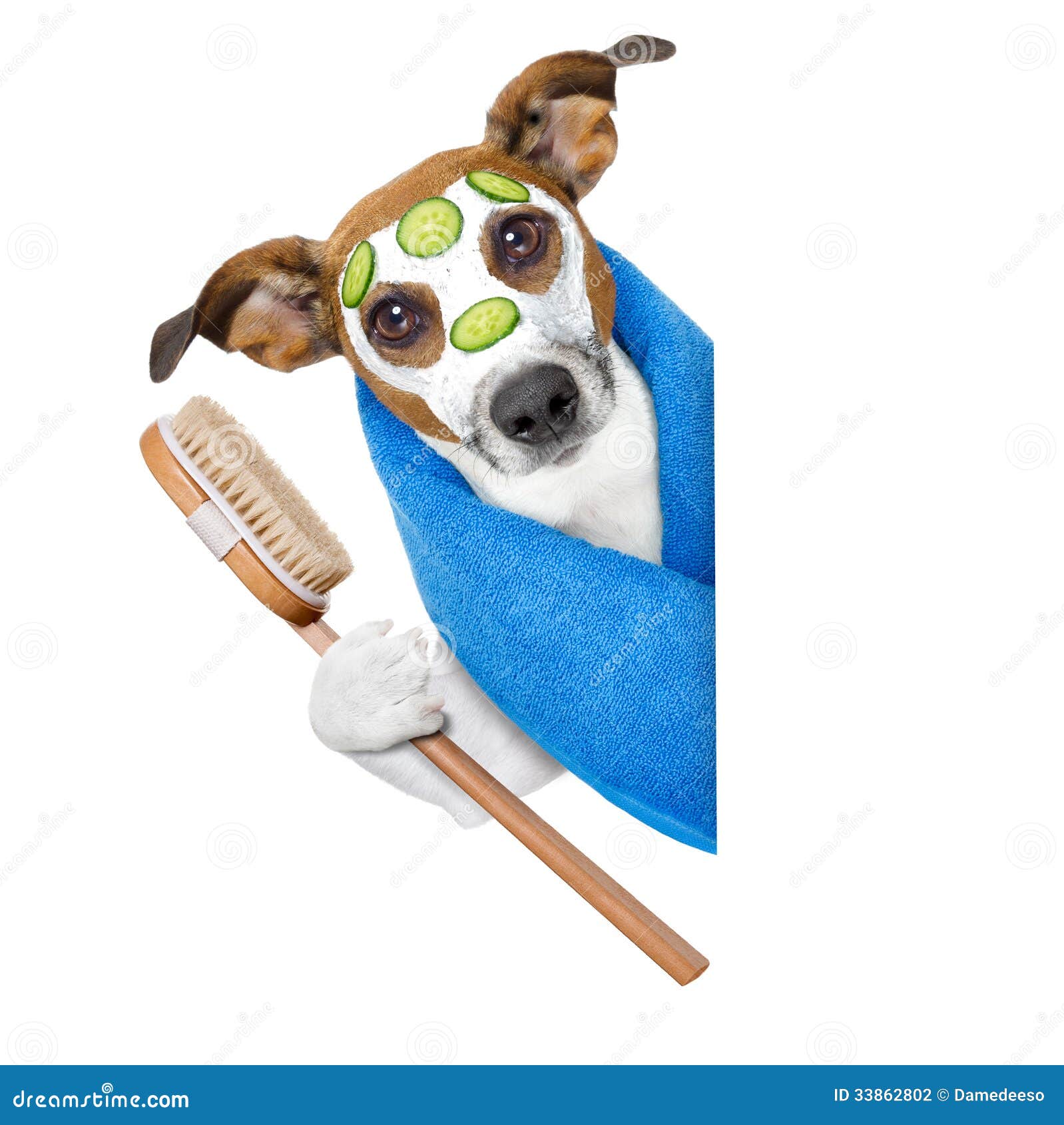 Dog with a beauty mask stock photo. Image of doggy, cute - 33862802