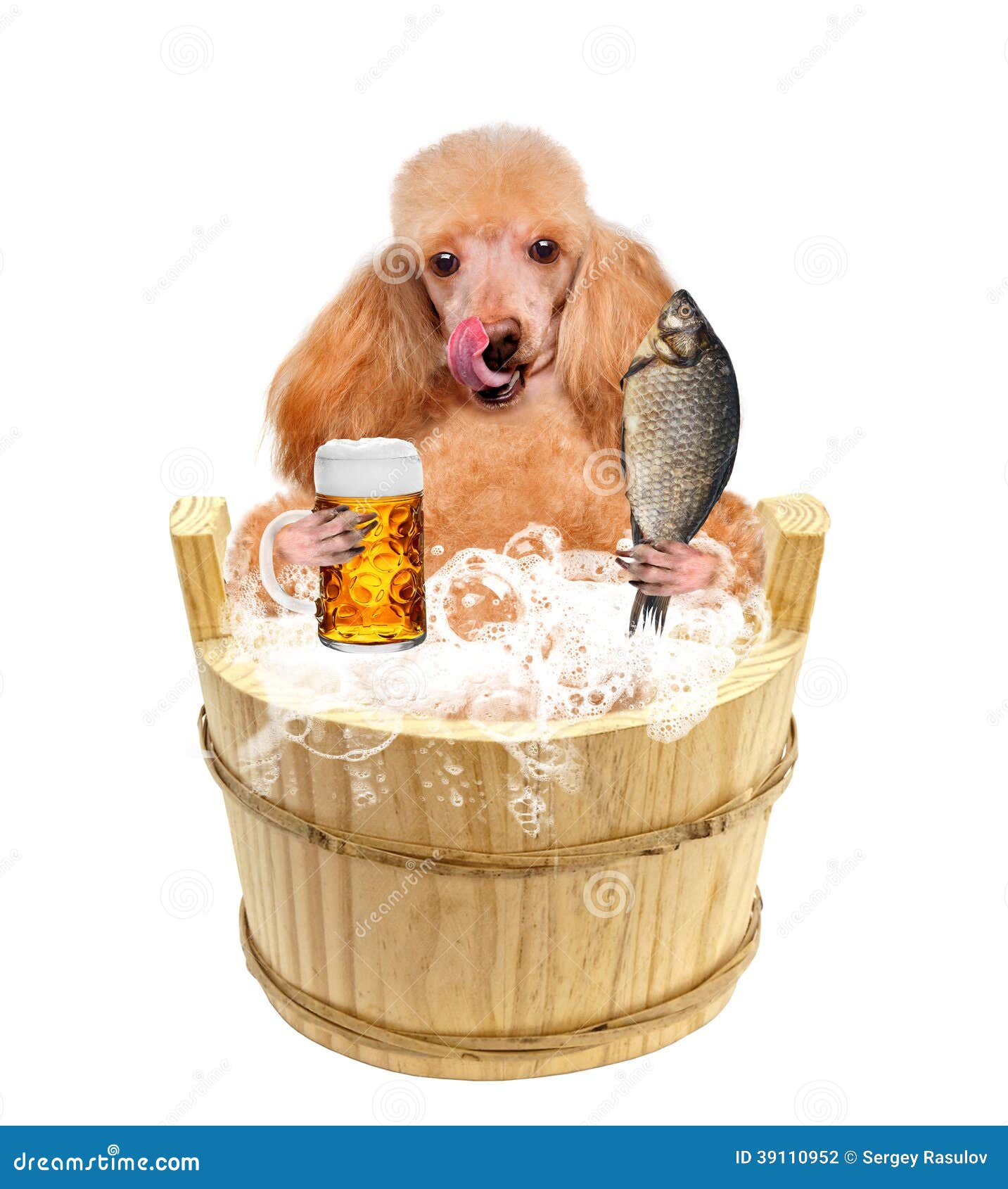Dog with a beer mug stock photo. Image of adorable, alcohol - 39110952