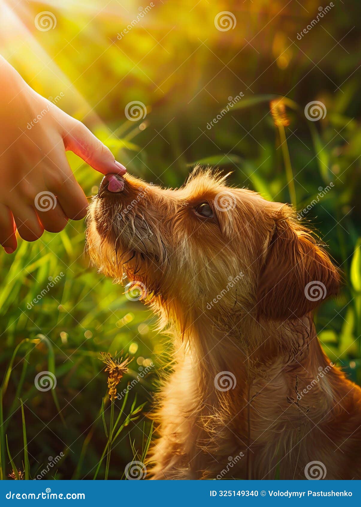 Petted Cartoons, Illustrations & Vector Stock Images - 123 Pictures to ...