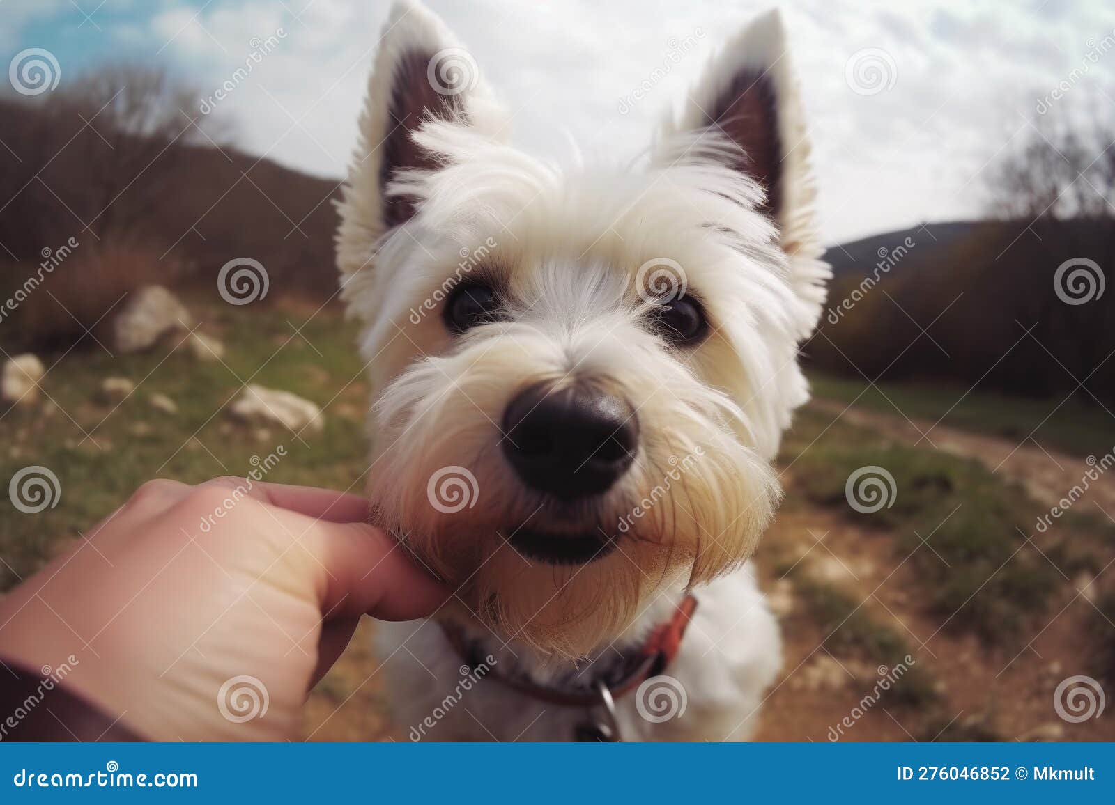 A Dog that is Being Petted by a Person Generative AI Stock Illustration ...