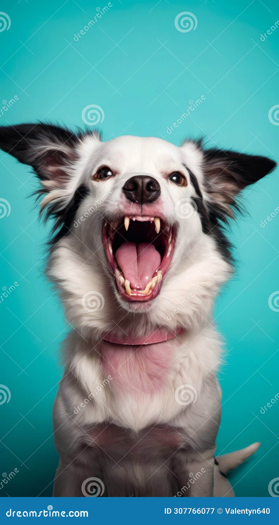 Dog with Big Teeth and Howling Expression is Captured in Mid-air ...