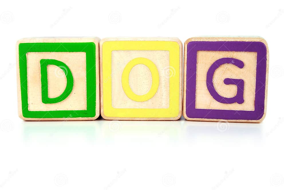 Dog blocks stock photo. Image of block, kindergarten, maths - 622114