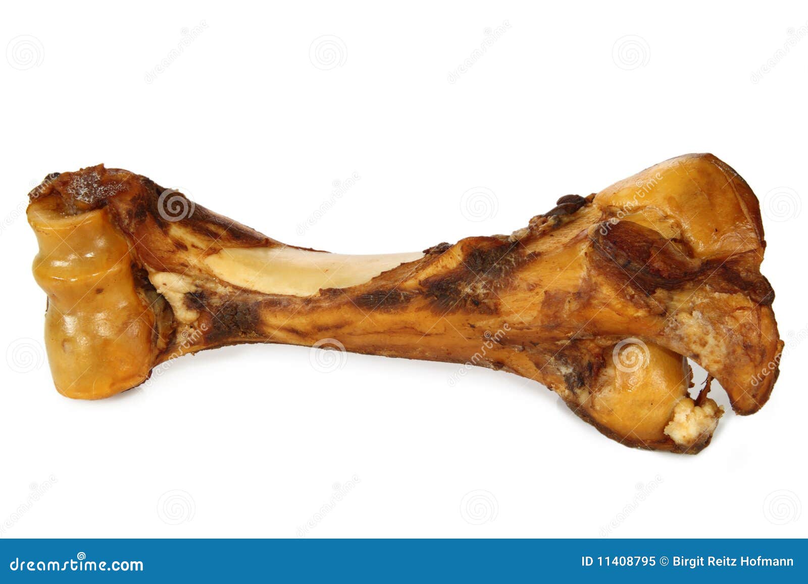 Dog bone stock image. Image of tasty, bone, dogbone, gristle - 11408795