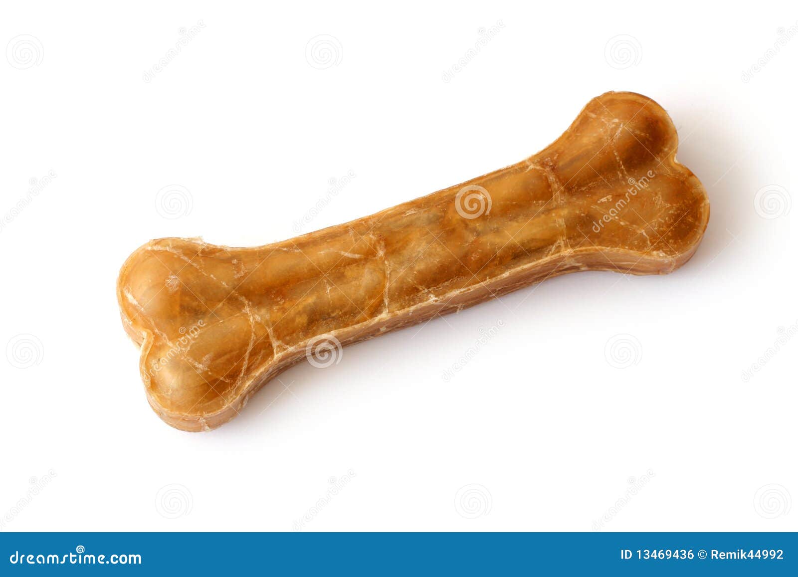 Dog bone stock photo. Image of basic, still, food, small - 13469436