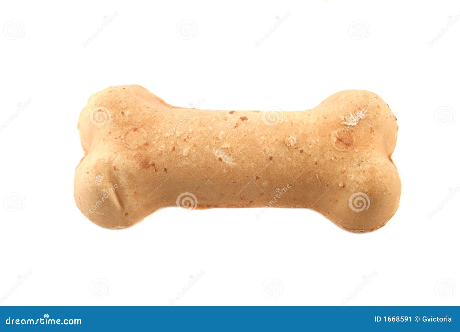 Dog bone stock image. Image of cornmeal, shape, bones - 1668591