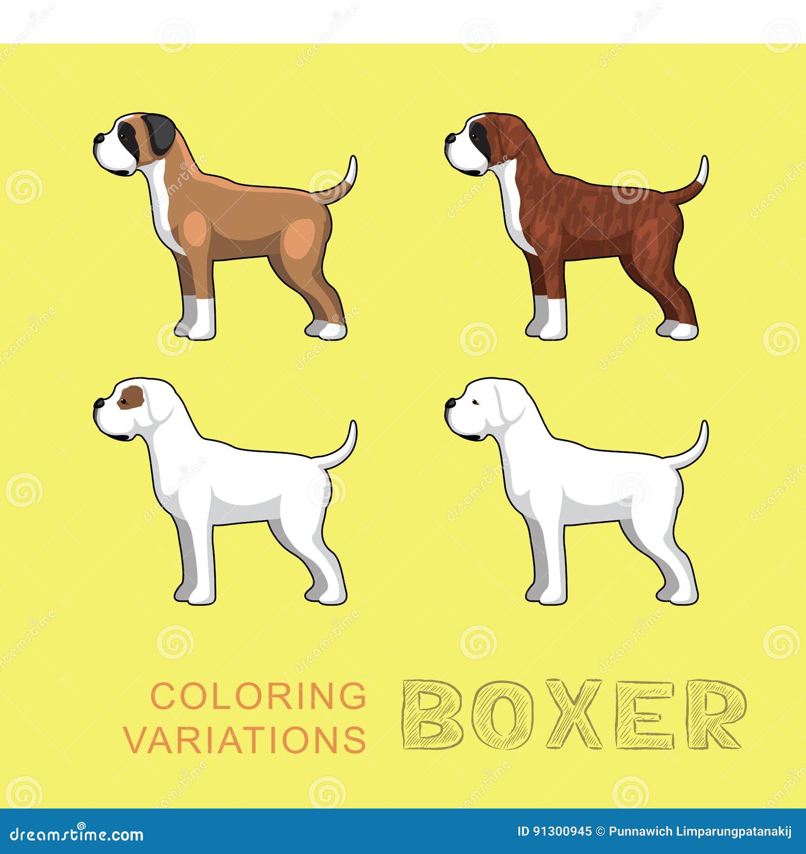 Boxer Coloring Page Royalty-Free Stock Image | CartoonDealer.com #86598898