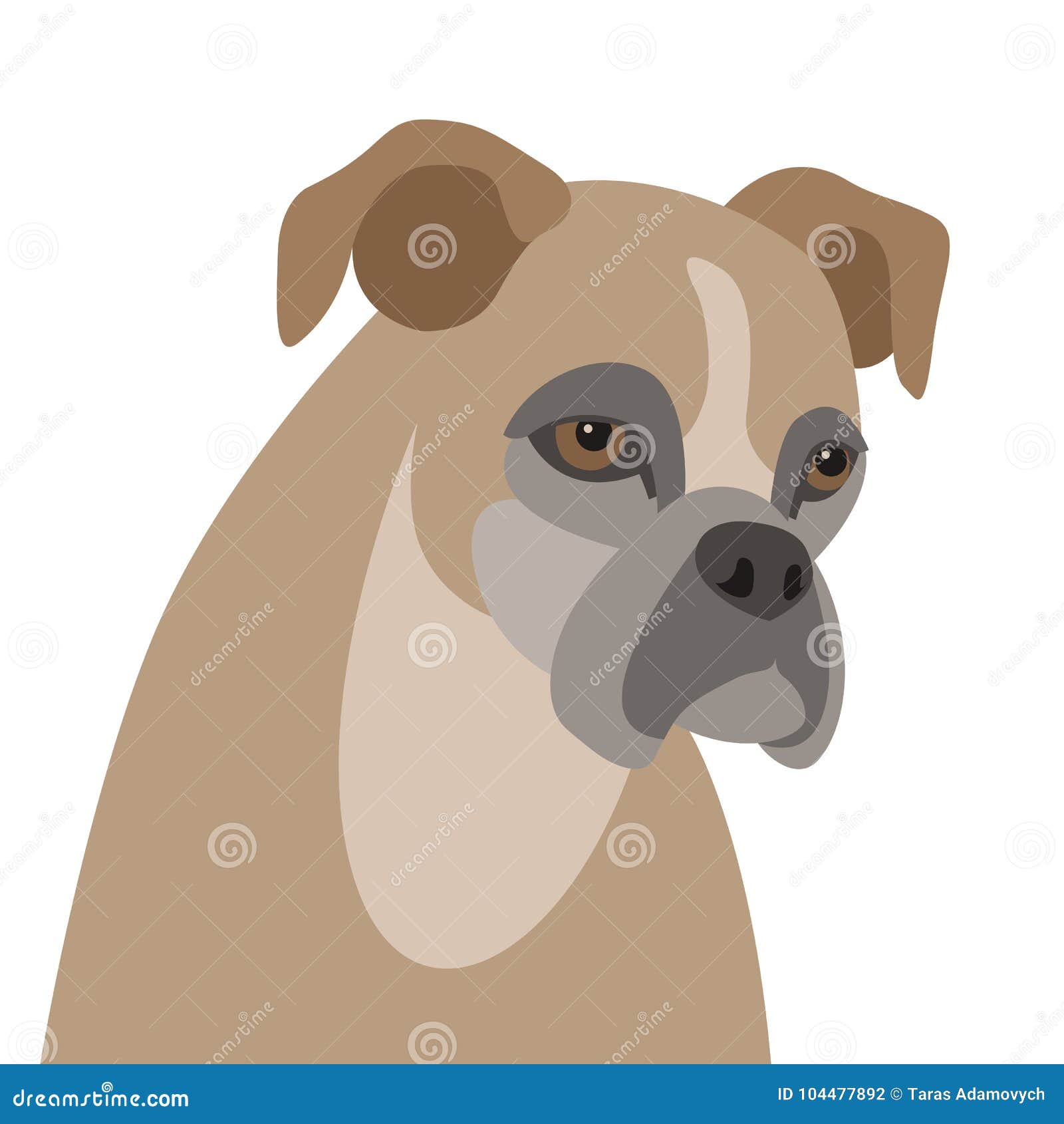 Dog Boxer Head Flat Style Vector Illustration Front Stock Vector ...
