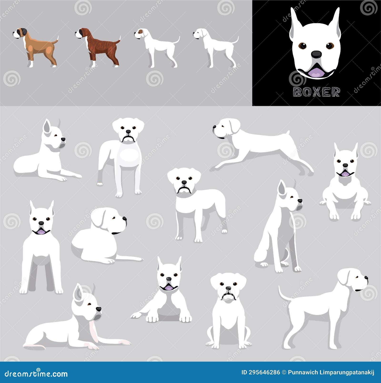 Dog Boxer White Coat Cartoon Vector Illustration Color Variation Set ...