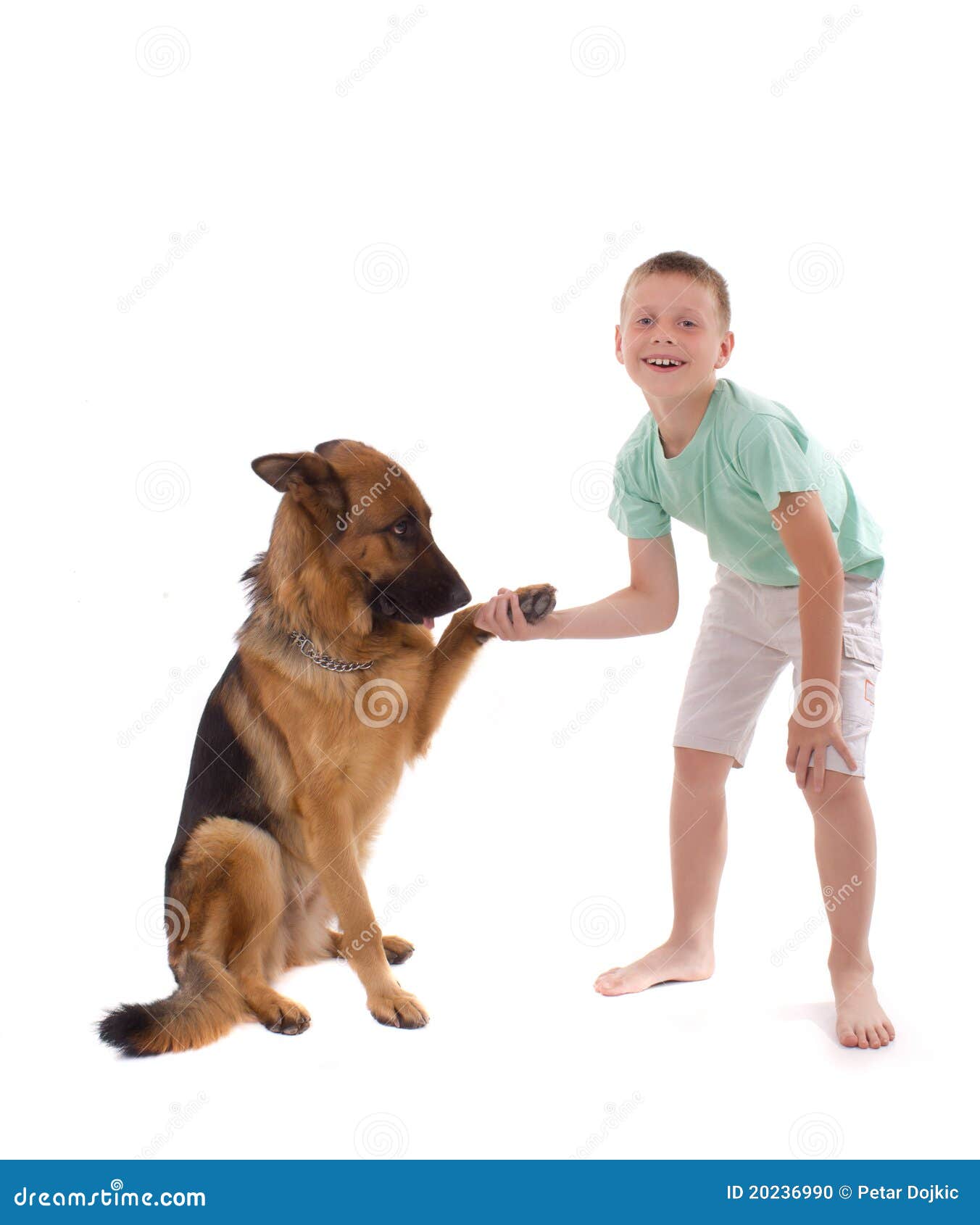 Dog and boy stock photo. Image of hands, happy, face - 20236990