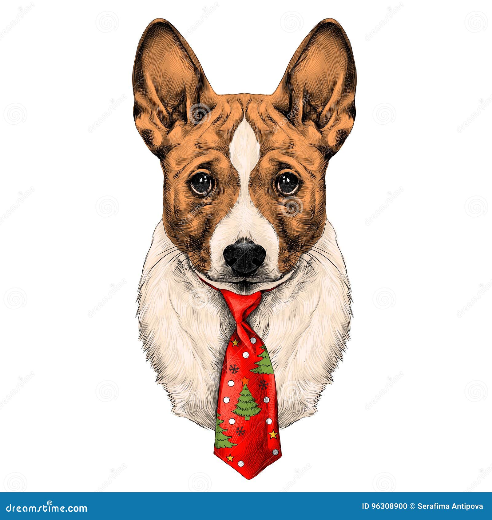 Dog Breed Basenji Head Sketch Vector Stock Vector - Illustration of ...