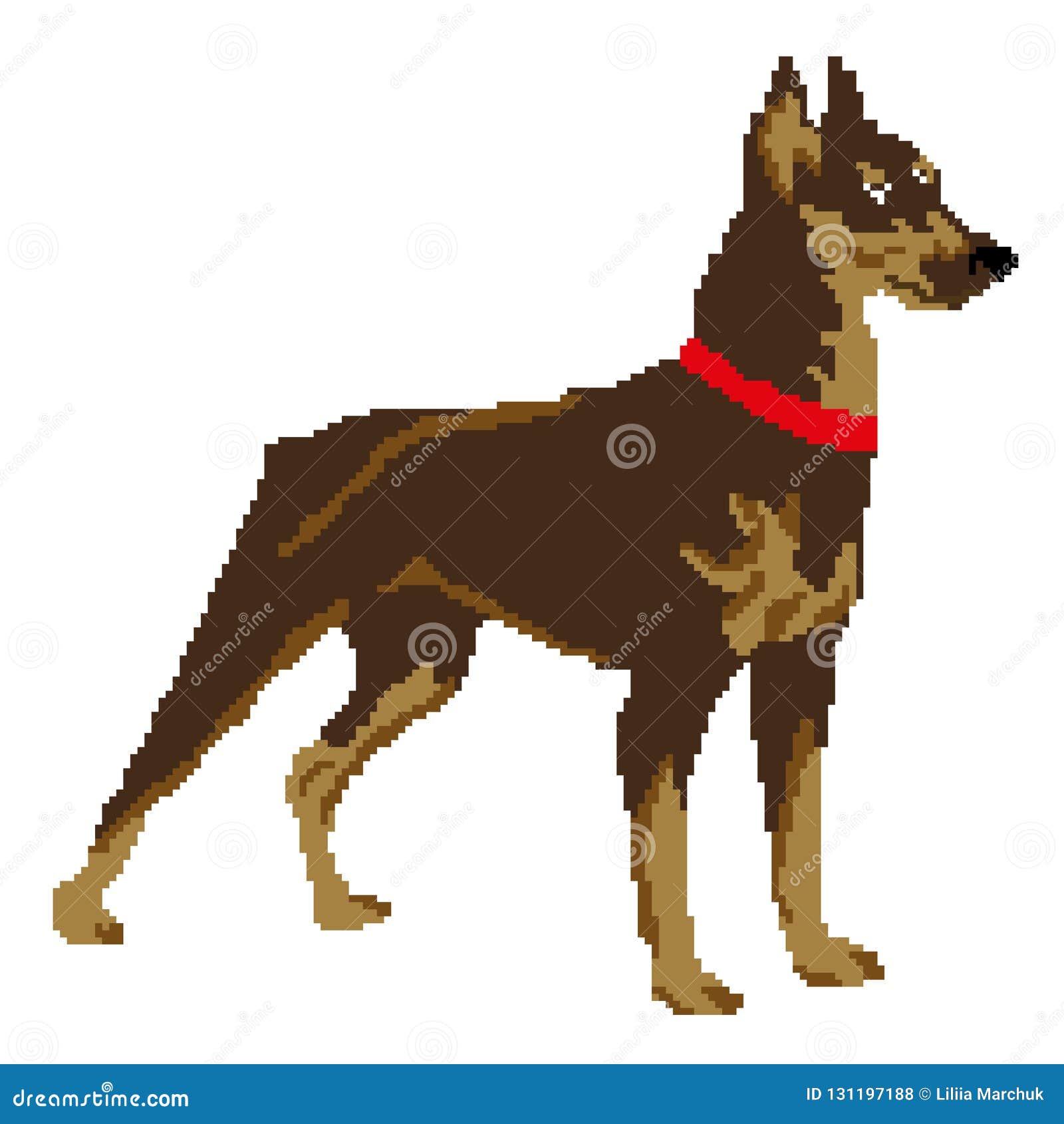 Dog Breed Doberman with a Red Bust Drawn Squares, Pixels. Vector ...