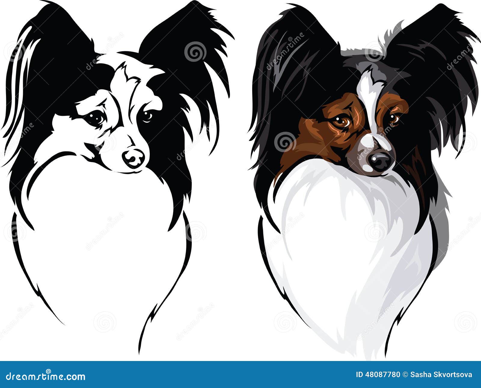 Papillon Dog Vector Illustration | CartoonDealer.com #57308478