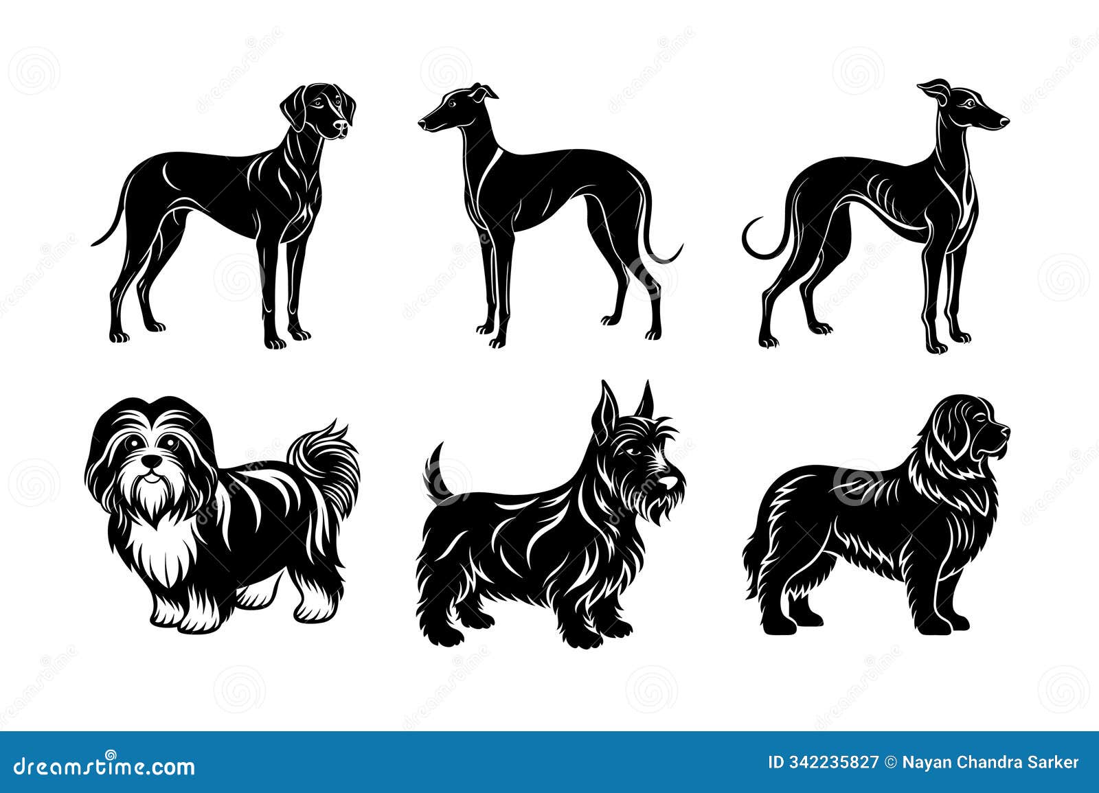 Dog Breed Vector Silhouette Set Stock Illustration - Illustration of ...
