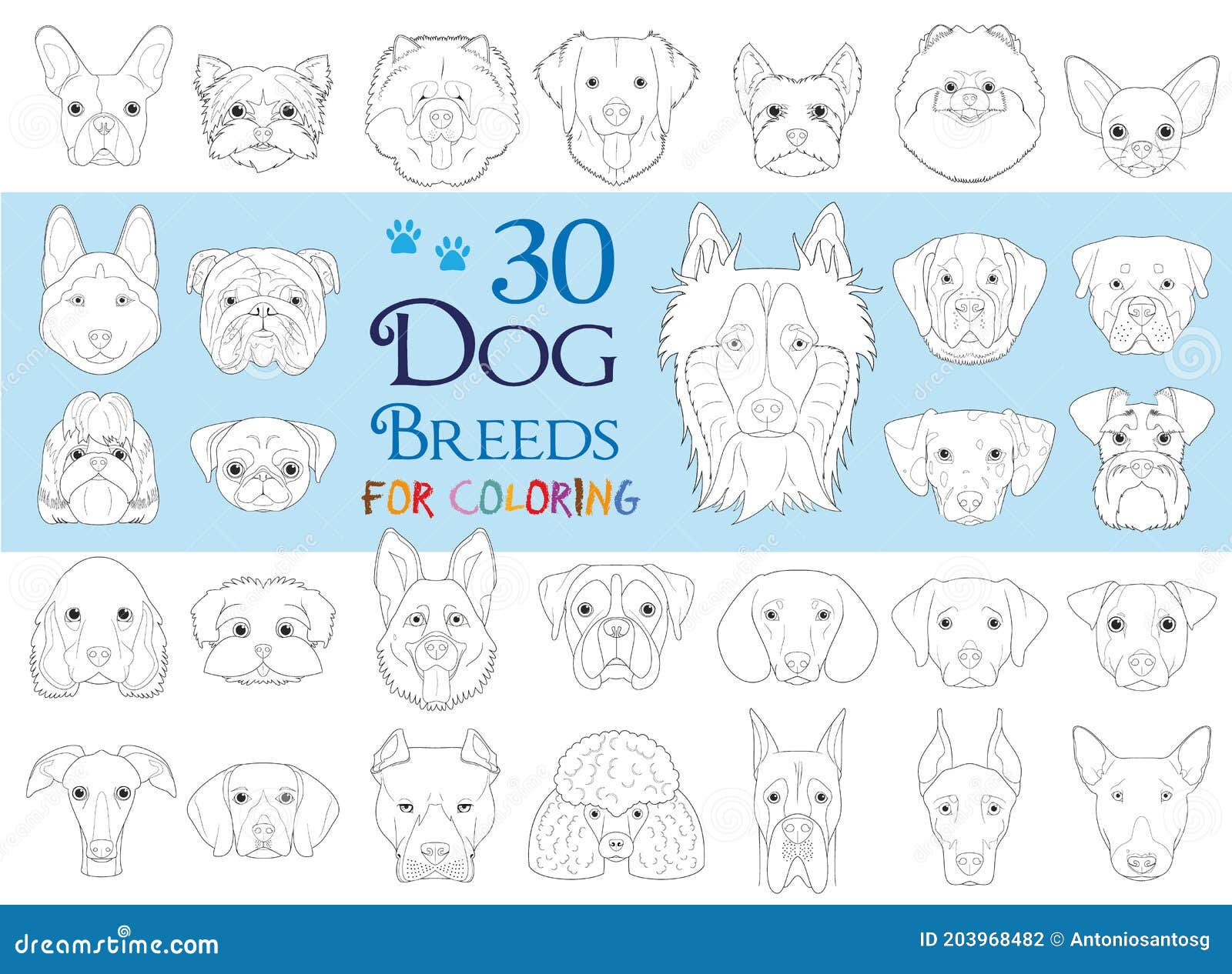 Set Of 30 Different Dog Breeds For Coloring In Cartoon Style Vector ...