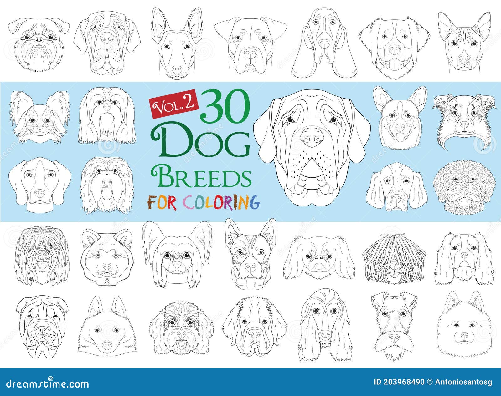 Set of 30 Different Dog Breeds for Coloring in Cartoon Style Stock ...