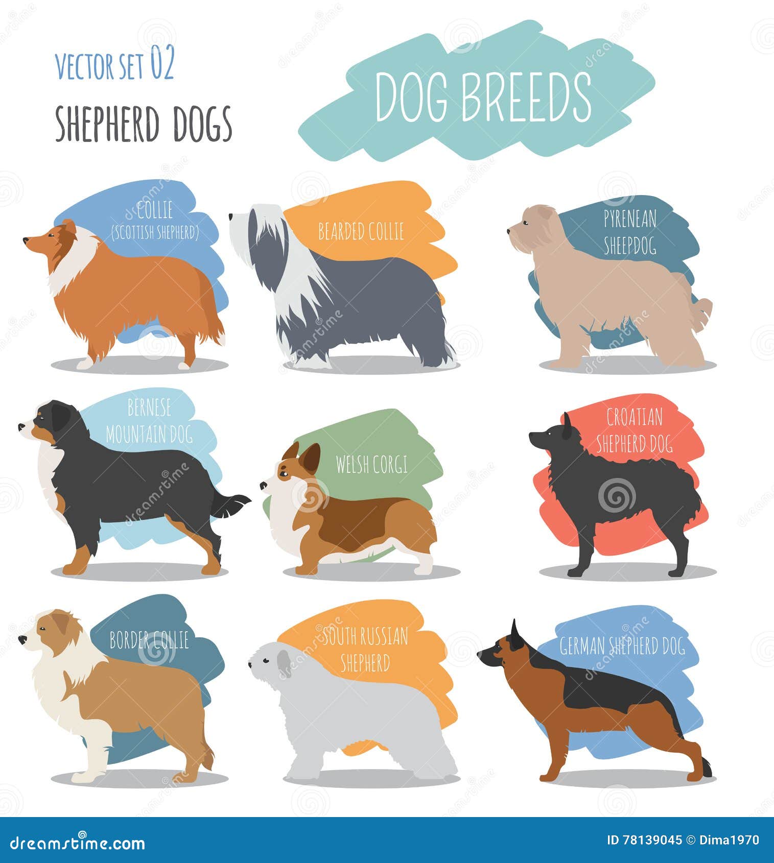 Types Of Sheepdog Breeds