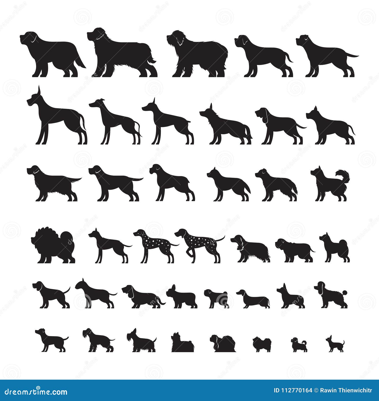 Dog Breeds, Silhouette Set stock vector. Illustration of greyhound ...