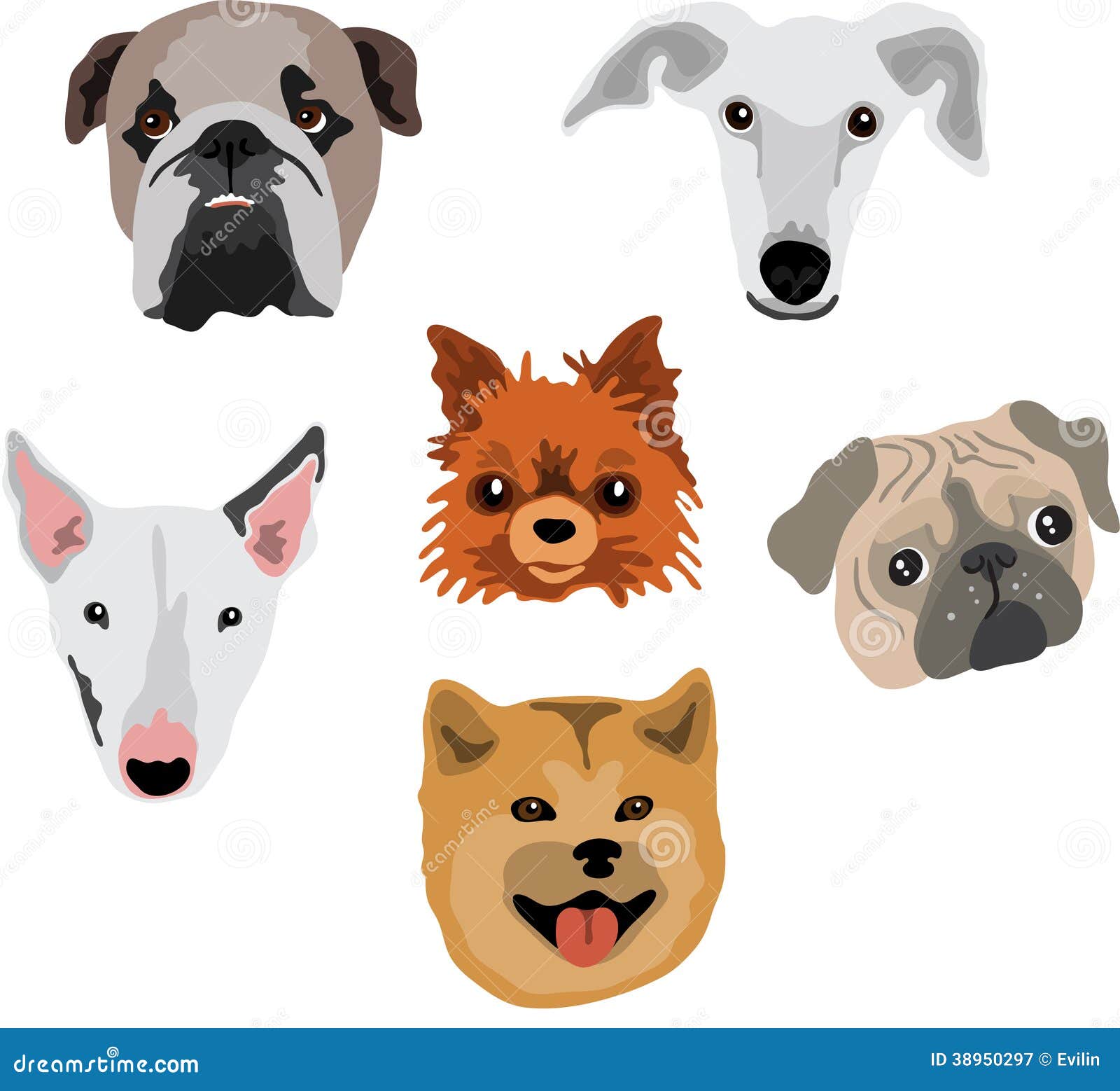 Dog breeds stock illustration. Illustration of animal - 38950297