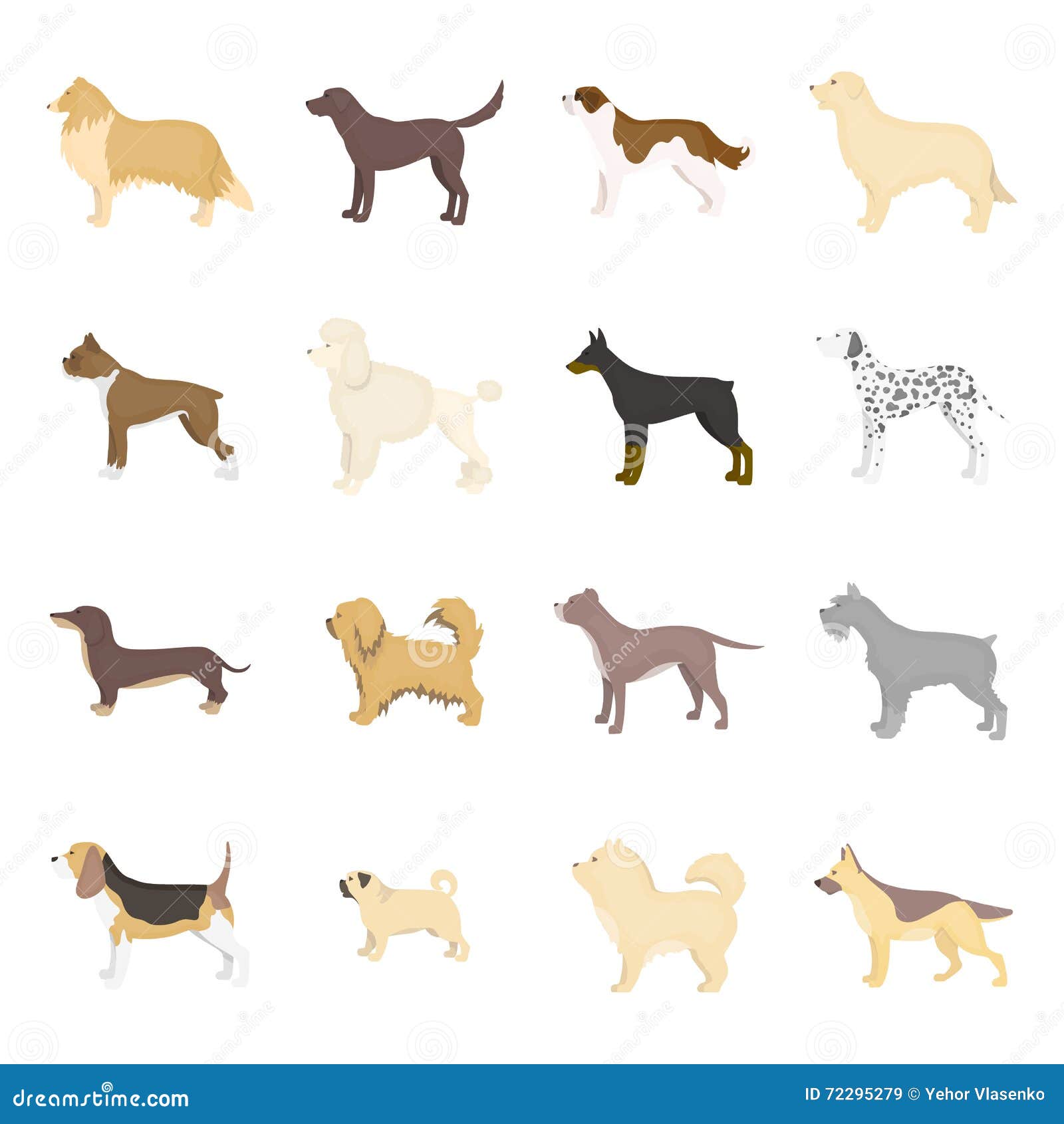 Dog Breeds Vector Collection: Set Of 30 Different Dog Breeds ...