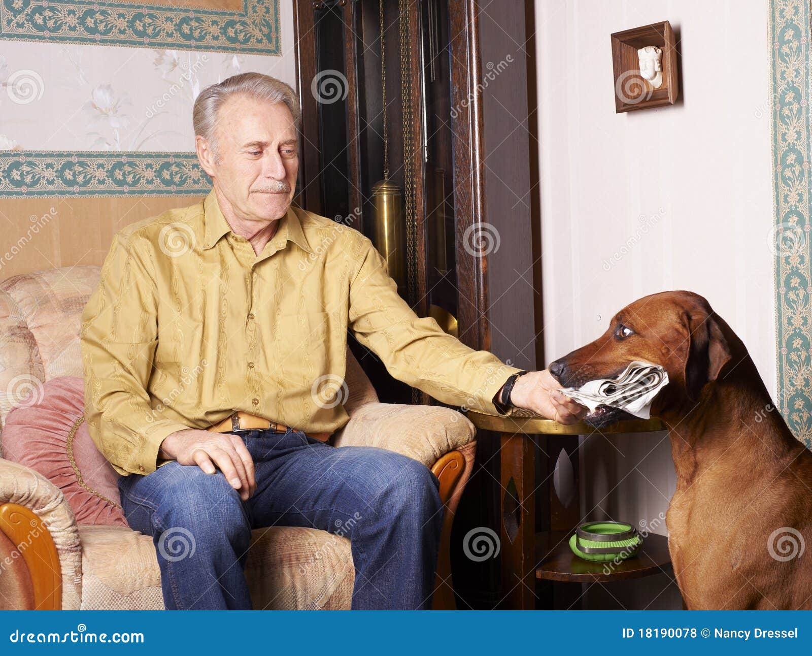 Dog Bringing Newspaper Stock Photography | CartoonDealer.com #15374024