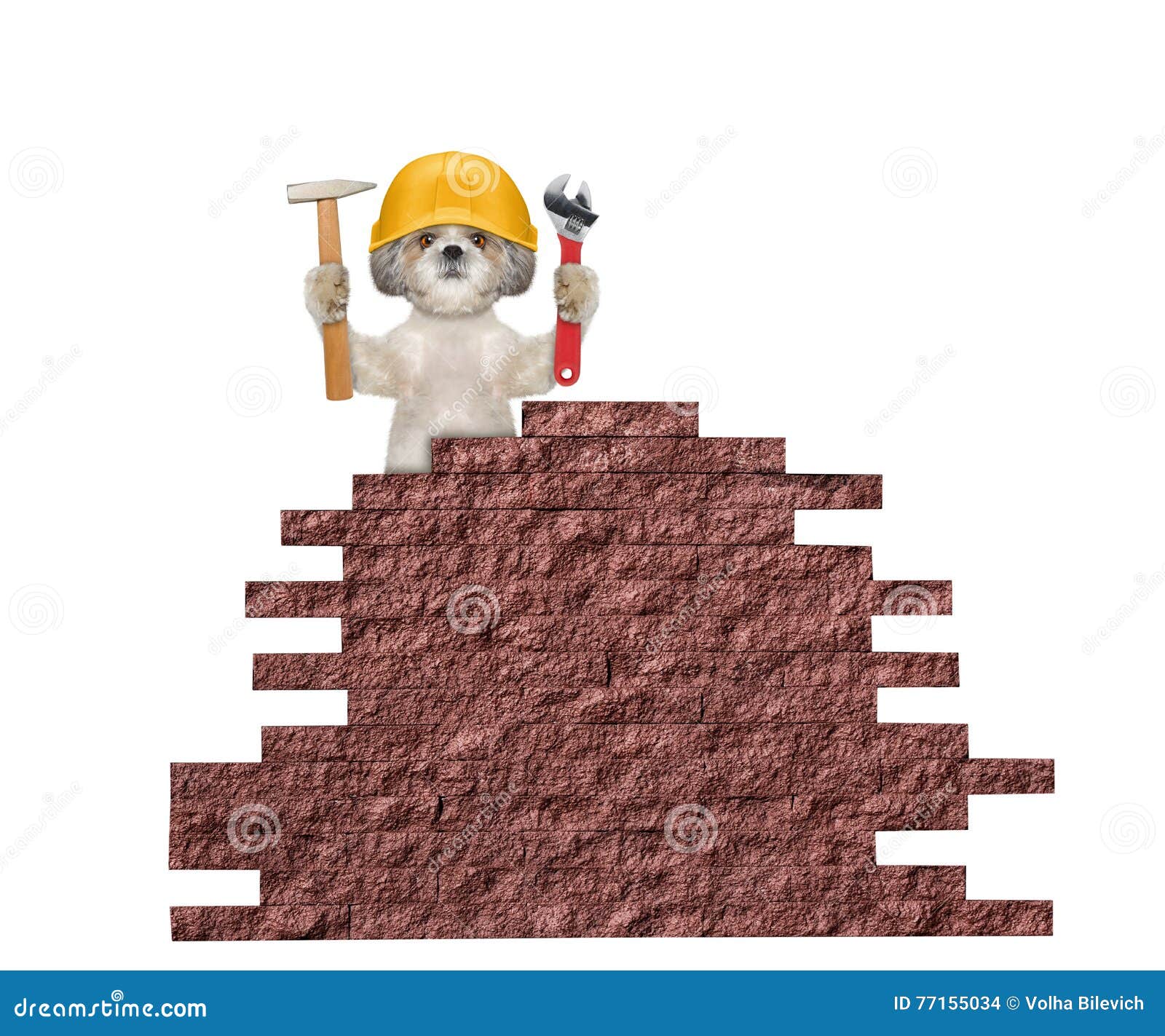 Dog Builder Holding Tools in Its Paws Stock Photo - Image of fence ...