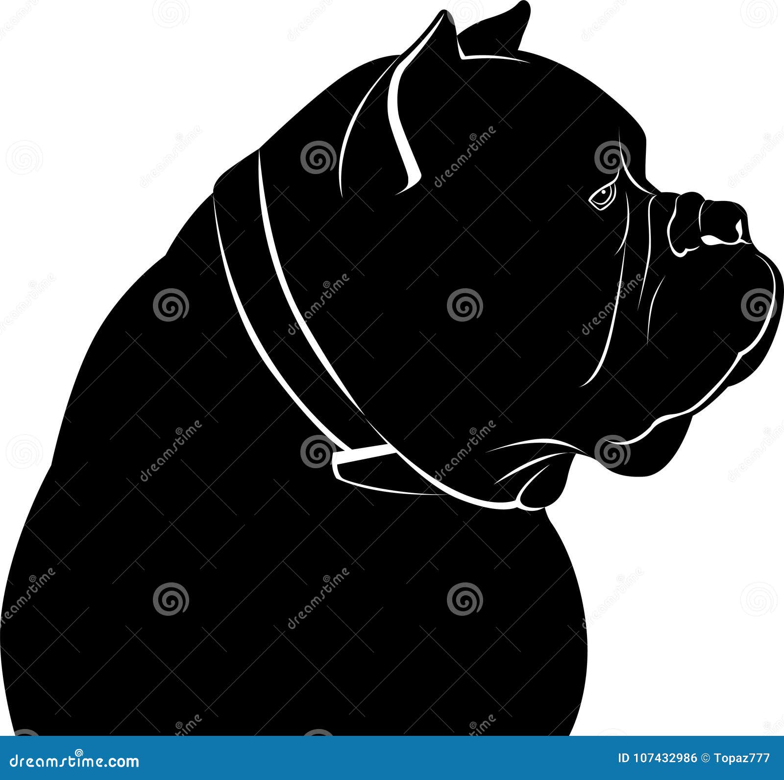Dog Cane Corso. Cane Corso Dog Portrait Vector Stock Vector ...