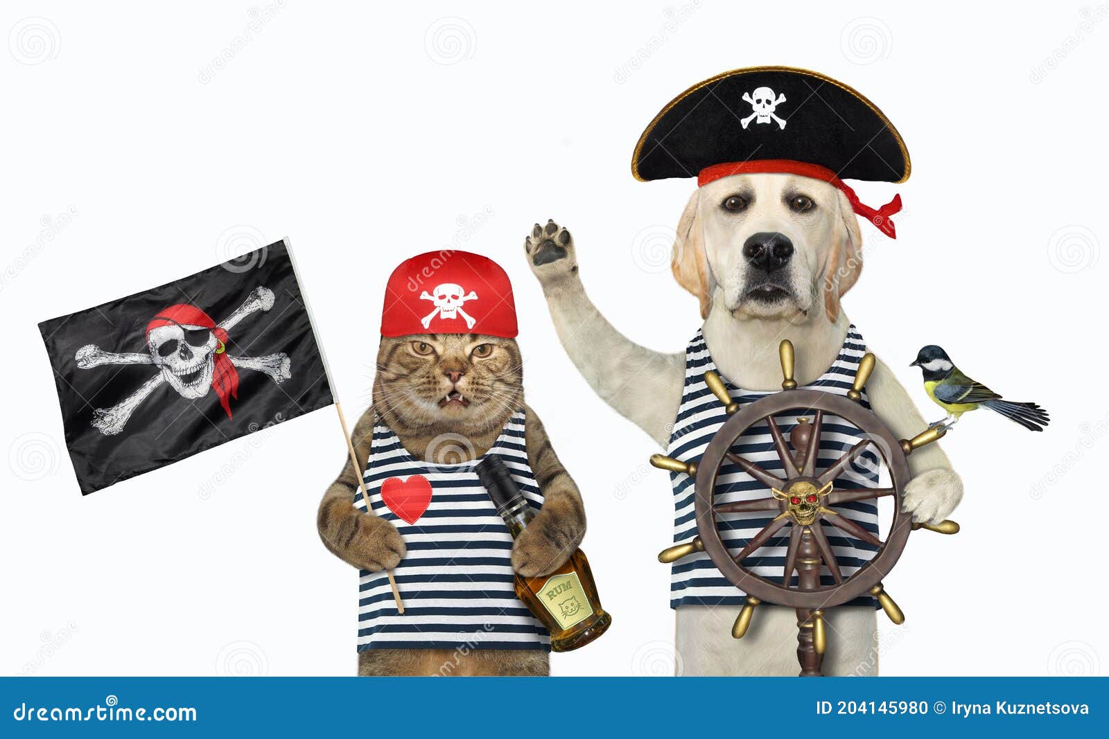 How Can I Ship A Dog