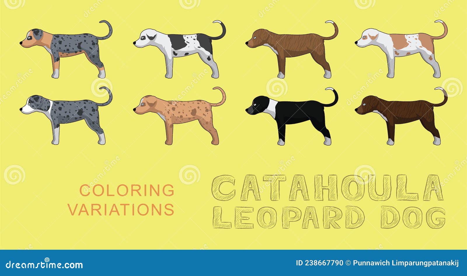 Dog Catahoula Leopard Dog Coloring Variations Cartoon Vector ...