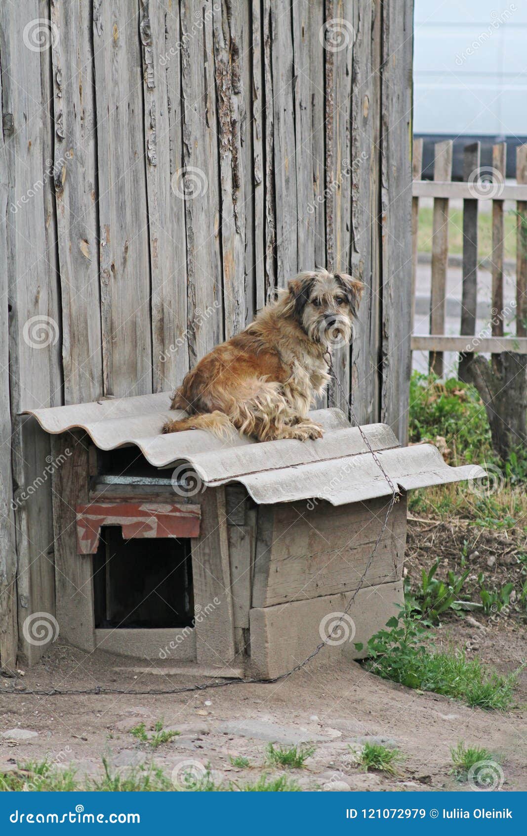 One Cat Sitting In The Booth Stock Photography | CartoonDealer.com ...