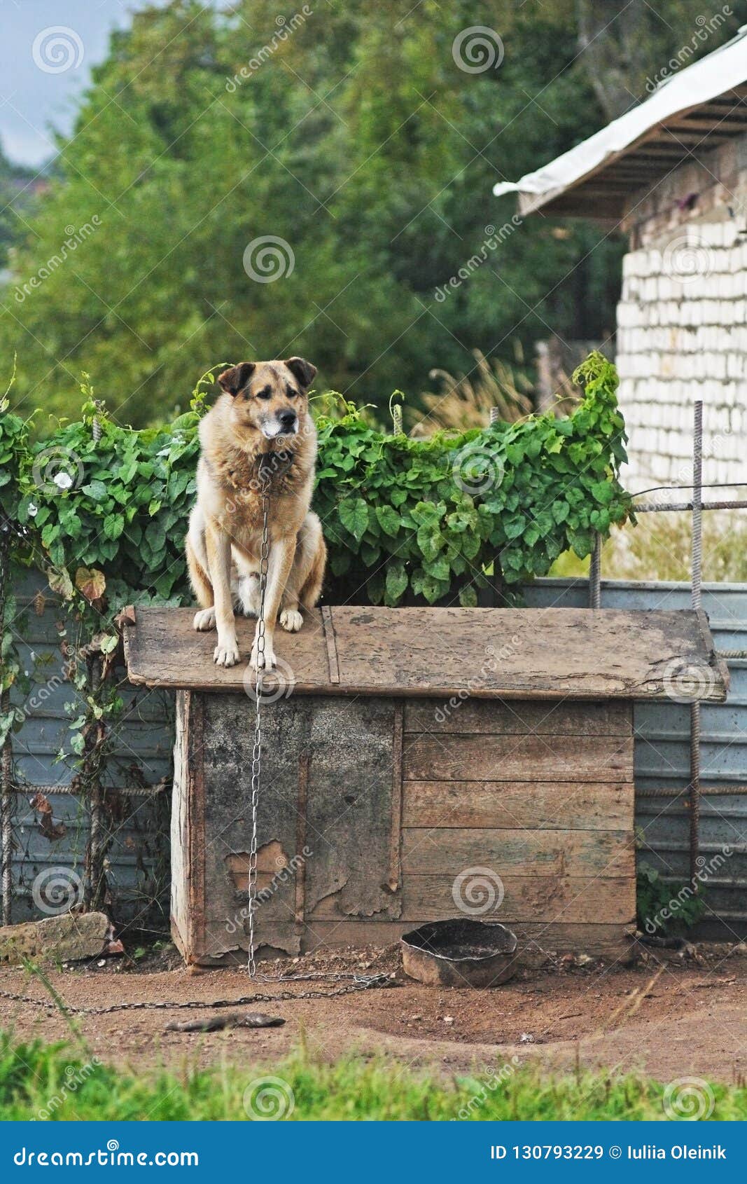 One Cat Sitting In The Booth Stock Photography | CartoonDealer.com ...
