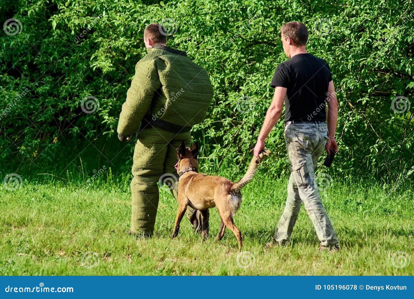 The Dog is Chasing the Man. Stock Photo - Image of agility, hound ...