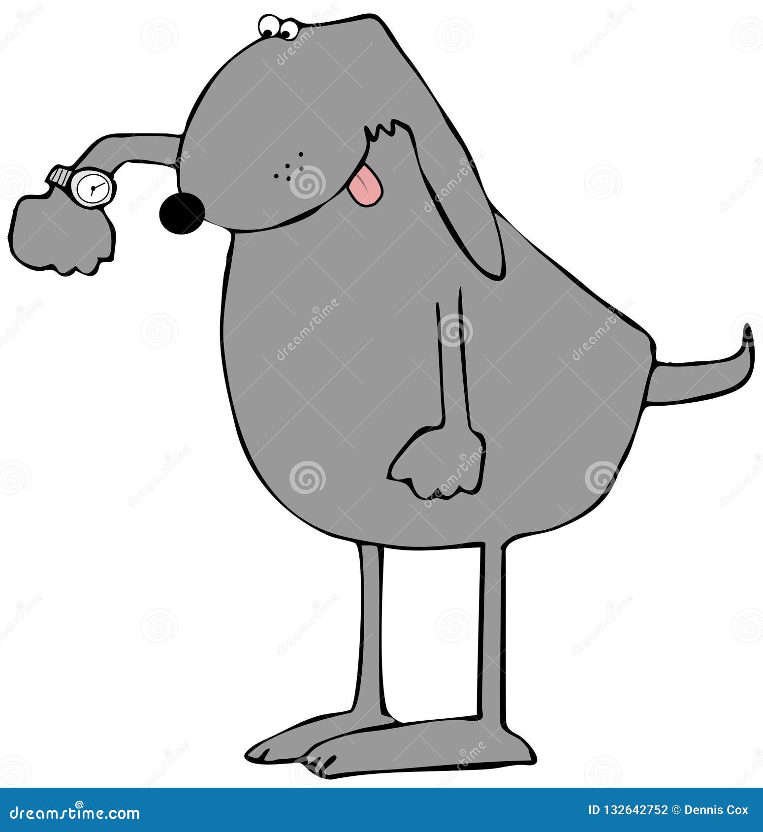 Dog checking his watch stock illustration. Illustration of time - 132642752