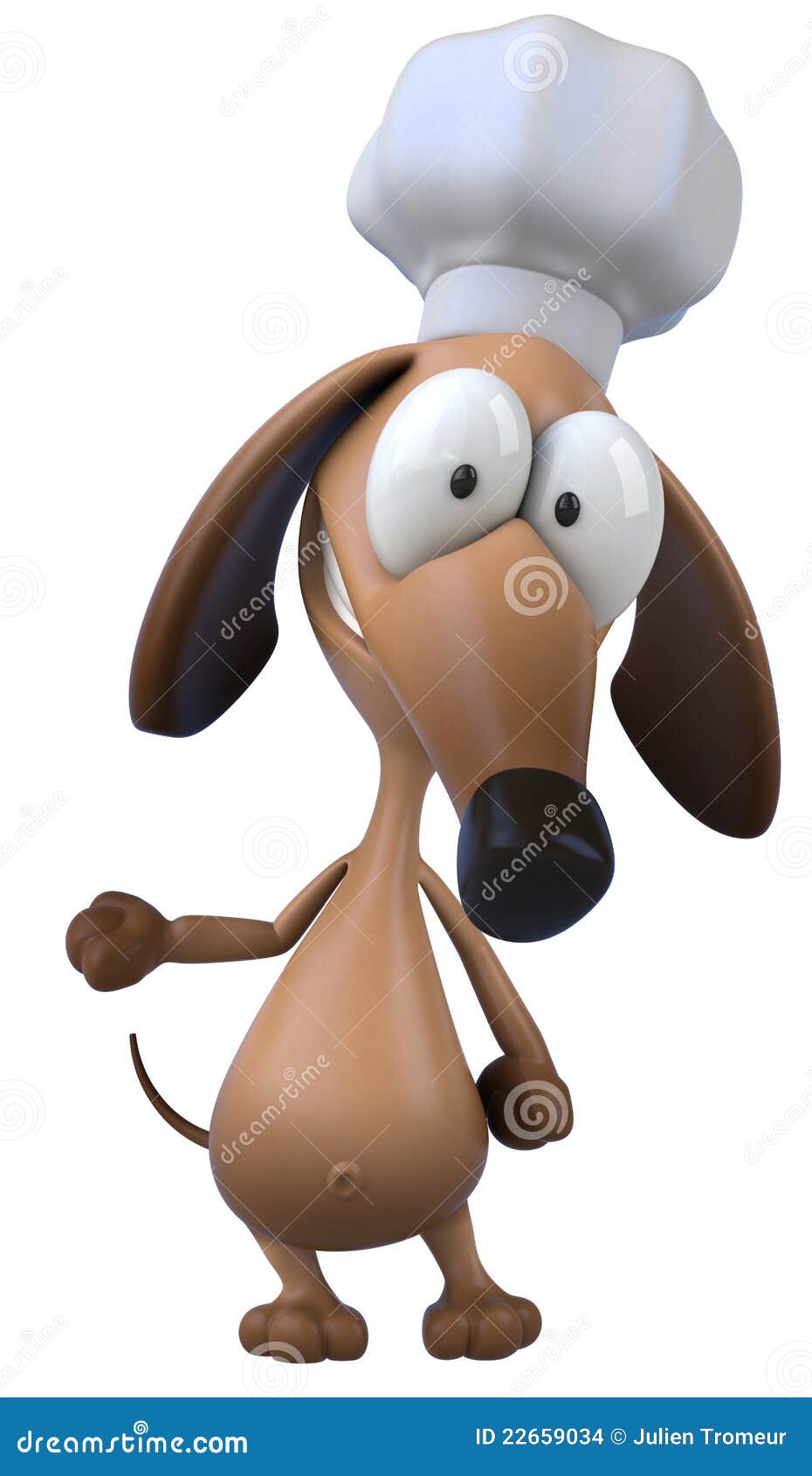 Dog chef stock illustration. Illustration of animals - 22659034