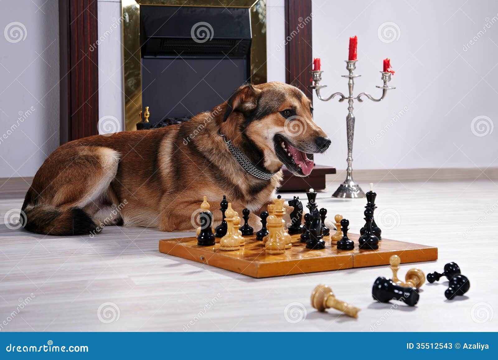 Dog and Chess Against a Fireplace. Stock Image - Image of concepts ...