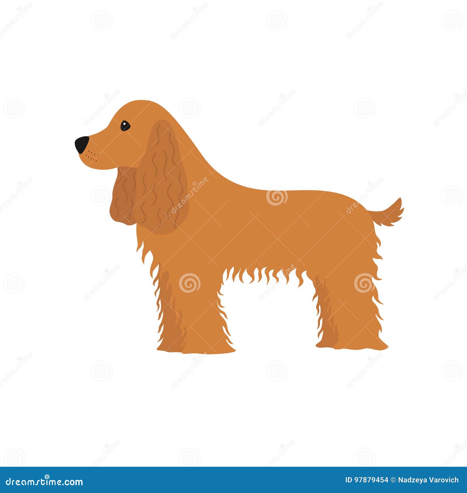 Dog Cocker Spaniel stock vector. Illustration of animal - 97879454