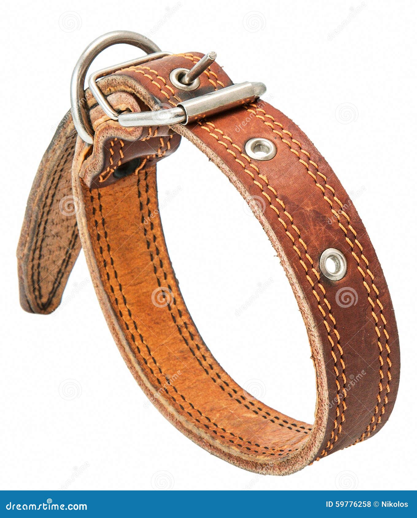 Dog collar stock photo. Image of colour, heel, doggy - 59776258