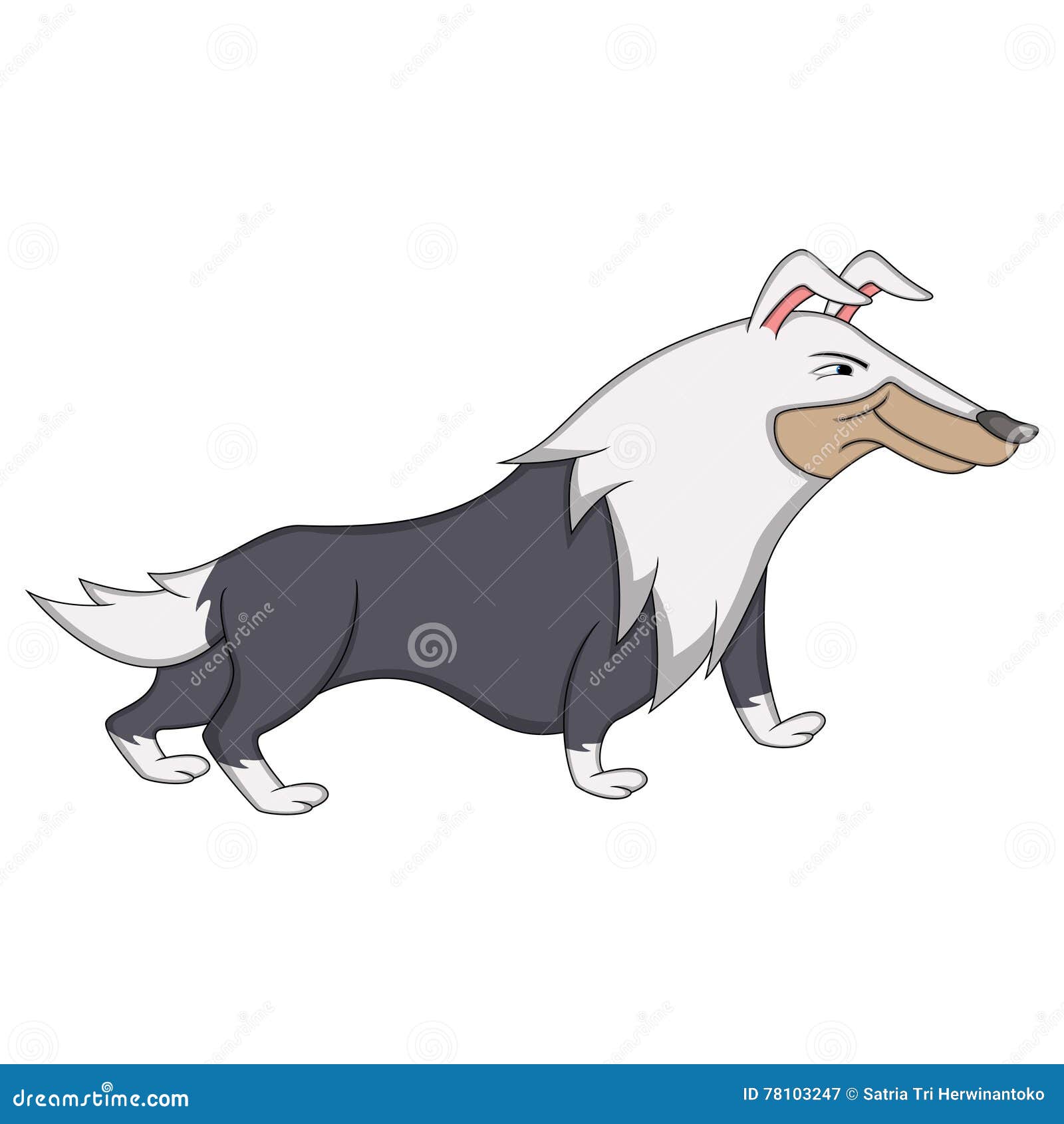 Dog - collie Cartoon stock vector. Illustration of collar - 78103247