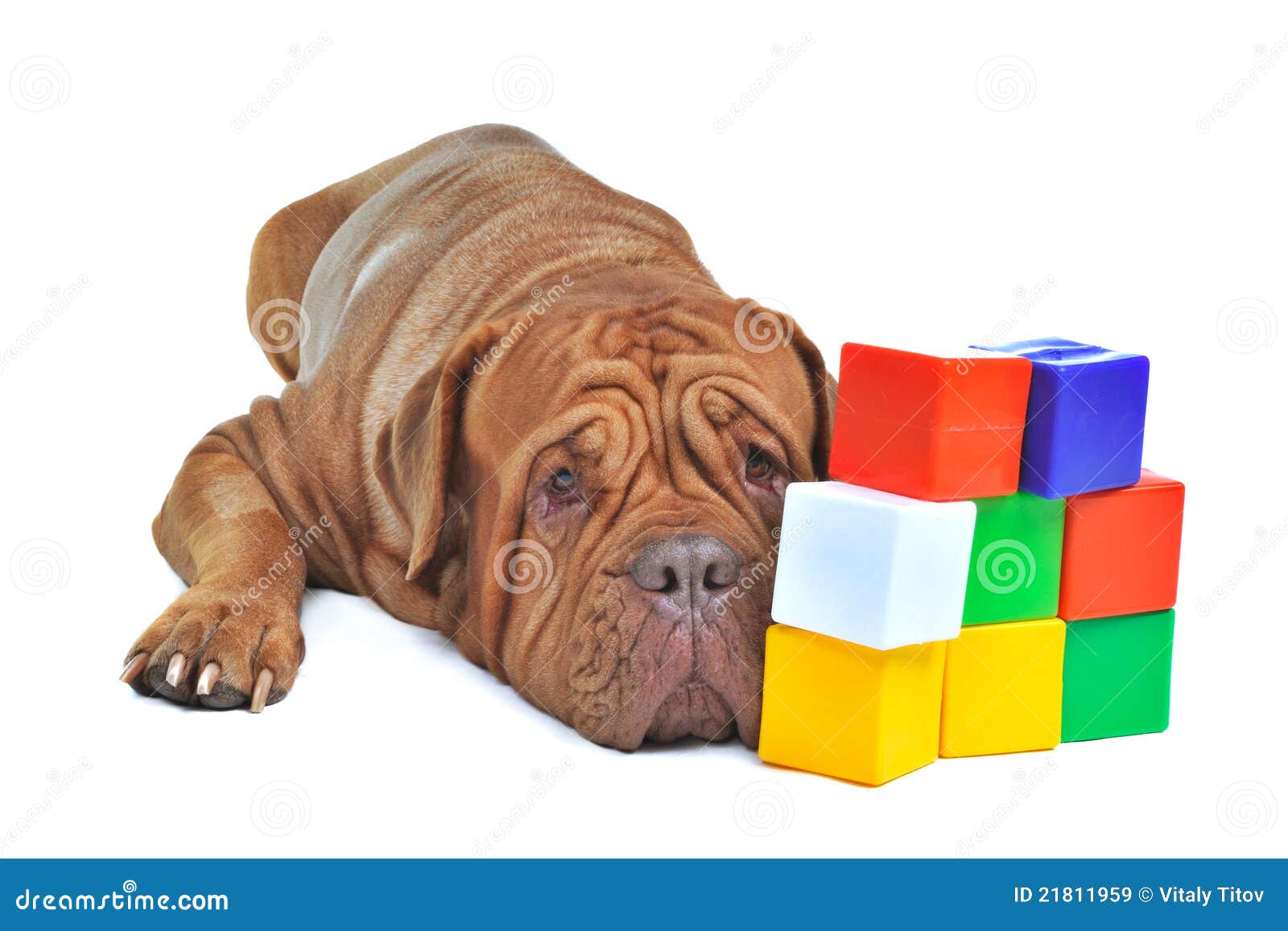 Colorful Cube Blocks Structure. Business Teamwork Royalty-Free ...