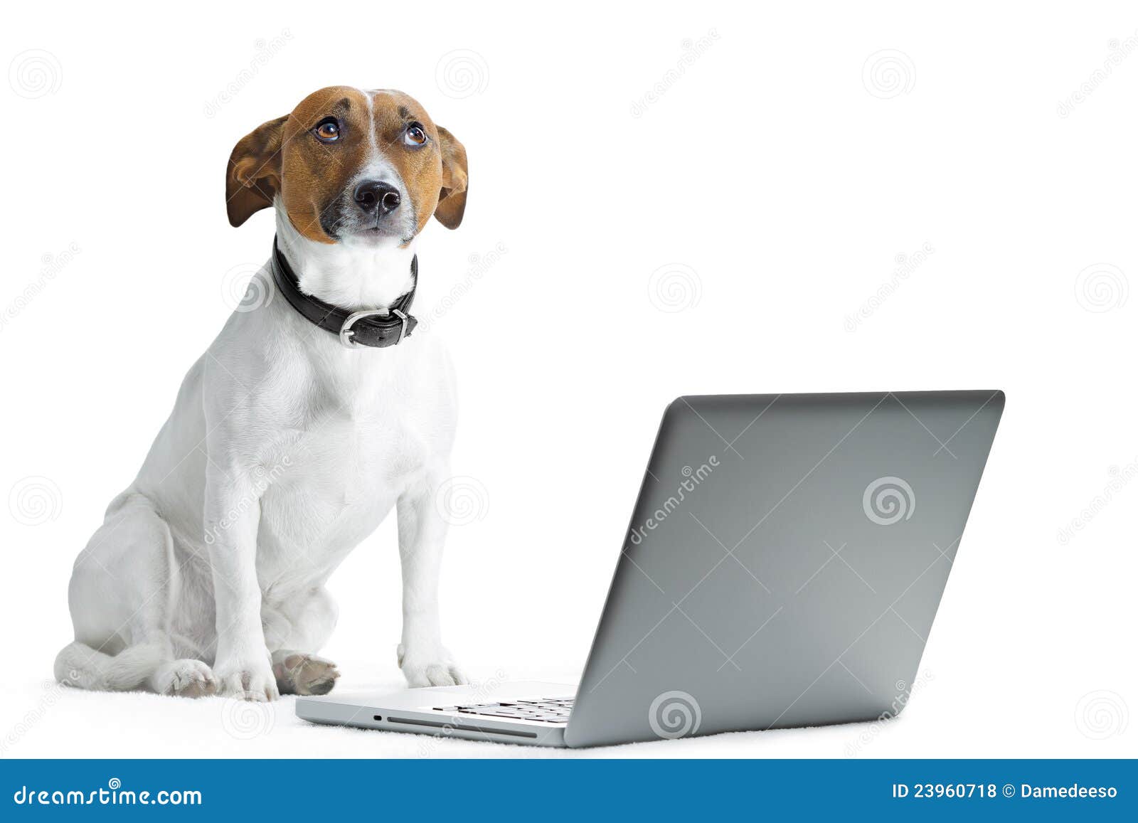 Dog computer stock photo. Image of line, cute, banner - 23960718
