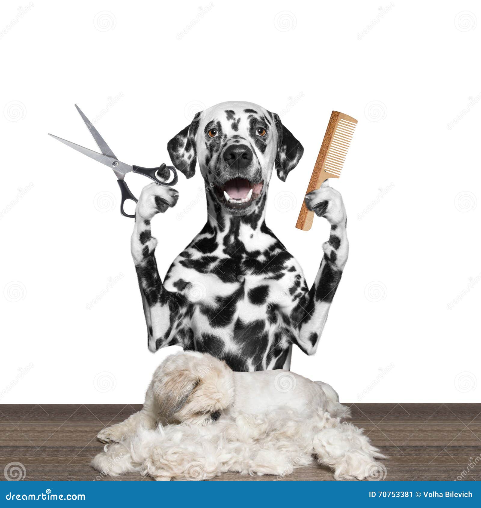 Dog Doing Groomung with Scissors and Comb Stock Image - Image of hand ...