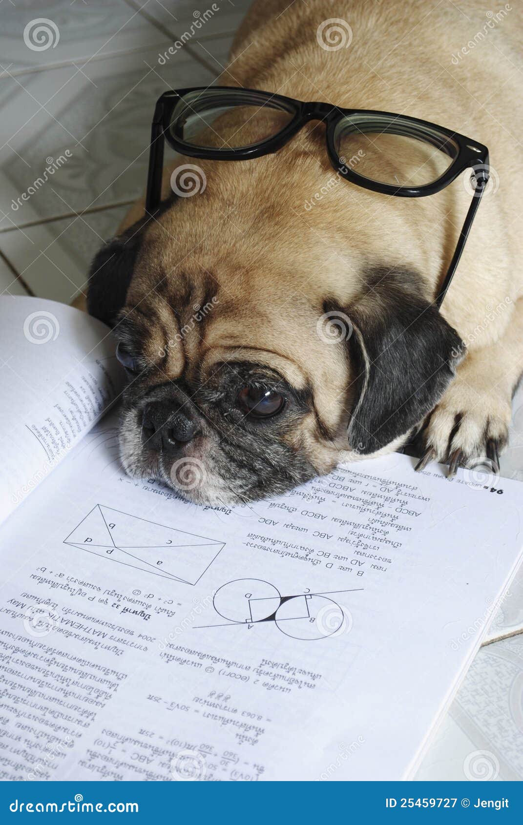 Dog Doing Her Homework Royalty Free Stock Photography - Image: 25459727