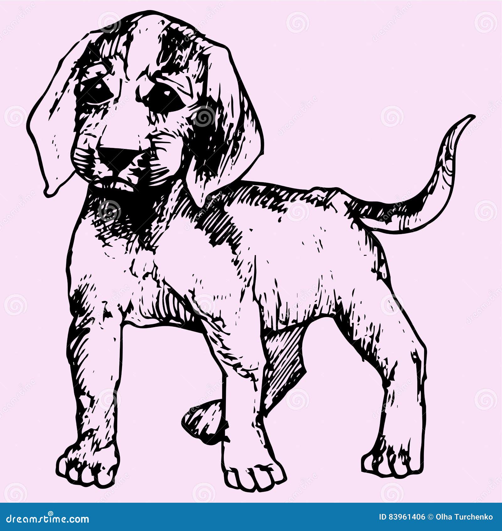 Dog stock vector. Illustration of drawing, purebred, domestic - 83961406