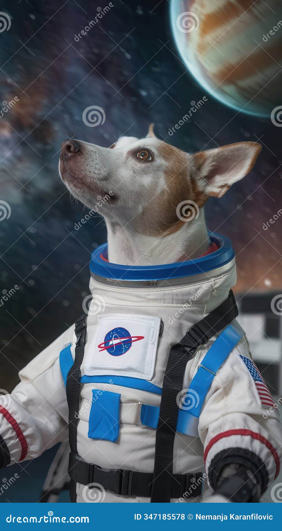 Dog Dressed As an Astronaut Floating in Space with NASA Logo on the ...